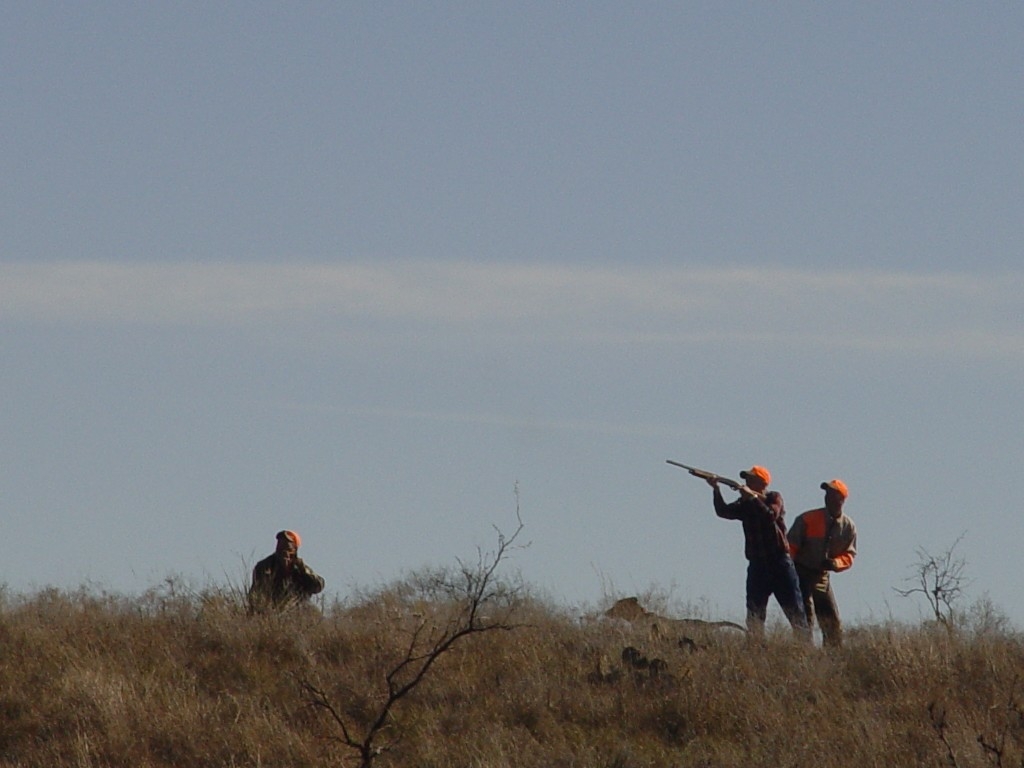 First Shot Outfitters Quail Hunts Photo Gallery